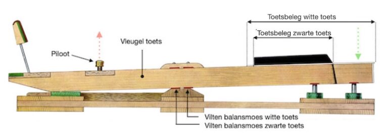 De voordelen van een lange toets - Van Dongen Piano's